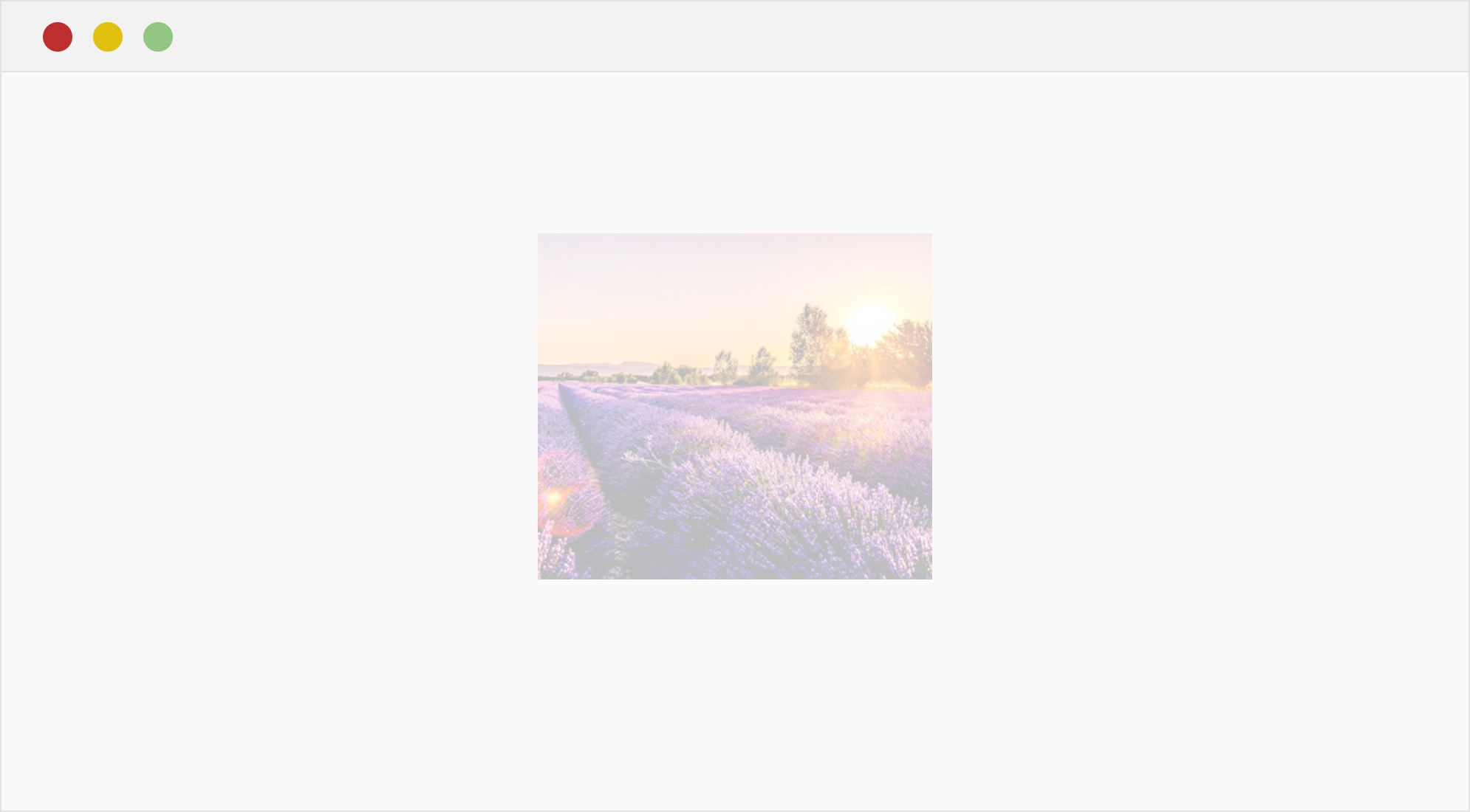 Css Filters Applying Blur Brightness Contrast And More To Images